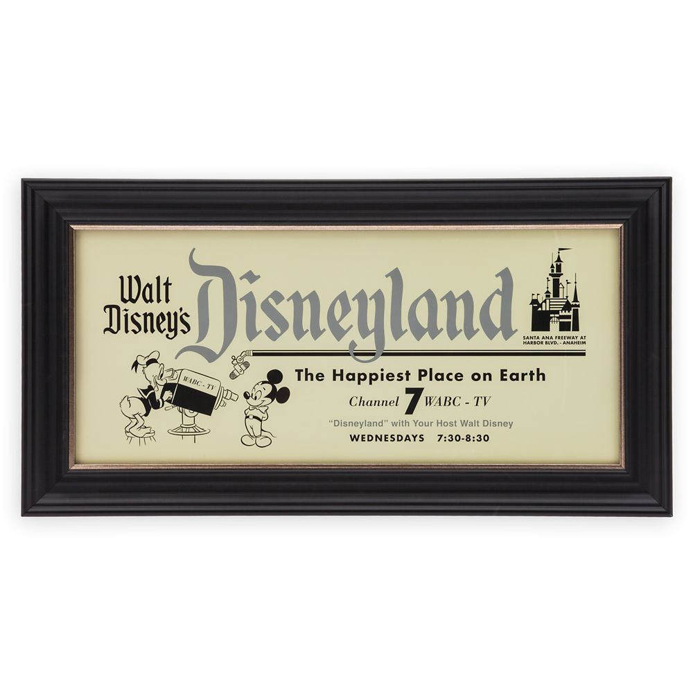Walt Disney's Disneyland Framed Art – Disney100 | Disney Store